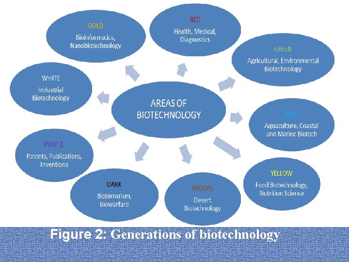 Introduction to Biotechnology Lec 1 In 1919 Karl