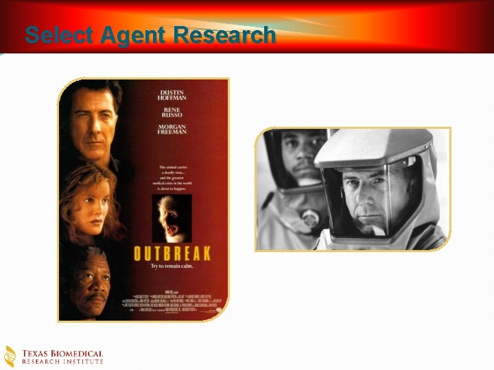 Vaccine Development at Animal Biosafety Level Four Standards