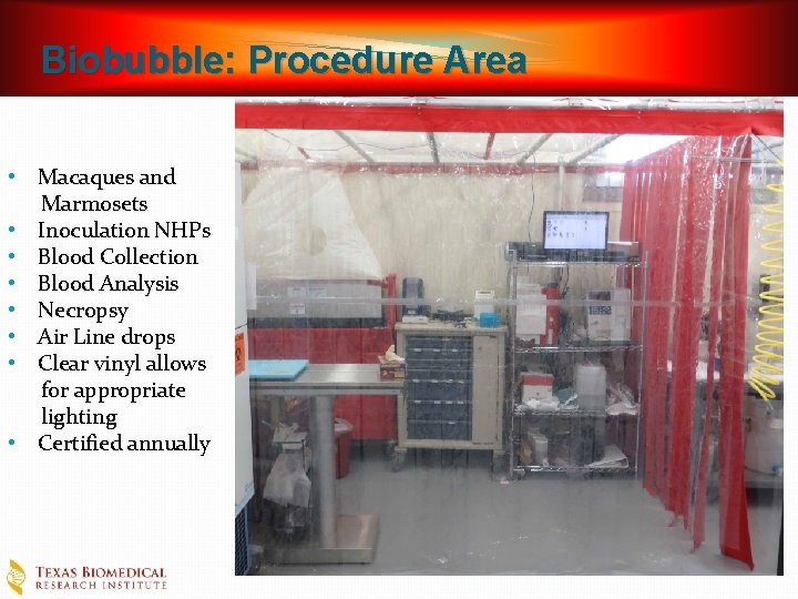 Vaccine Development at Animal Biosafety Level Four Standards