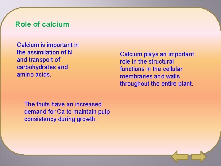 Role and deficiency symptoms of secondary in Mango