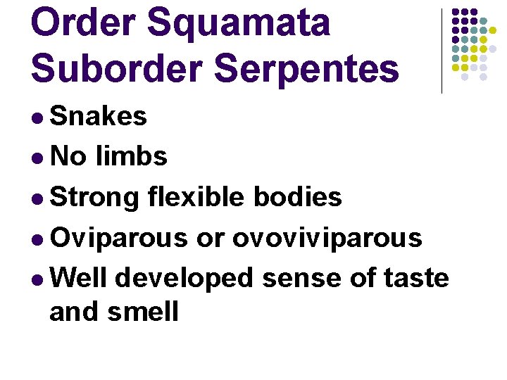 Marine Reptiles and Birds Class Reptilia Characteristics l