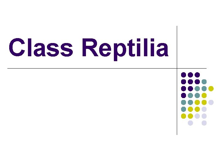 Marine Reptiles and Birds Class Reptilia Characteristics l