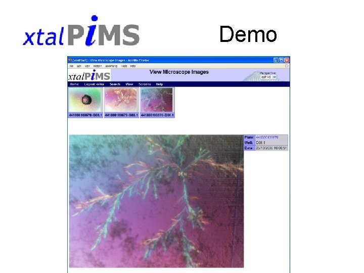 Managing crystallization experiments within PIMS What is it