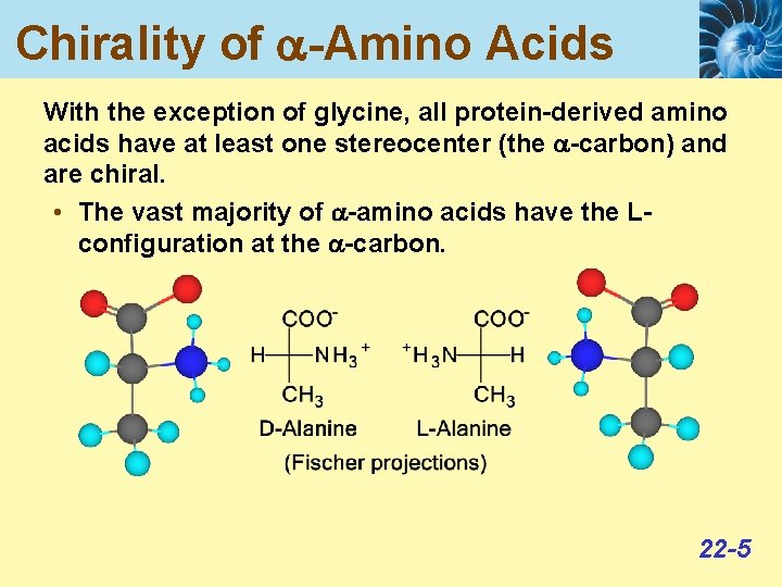 Frederick A Bettelheim William H Brown Mary K