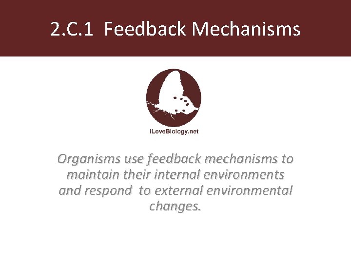 2 C 1 Feedback Mechanisms Organisms use feedback