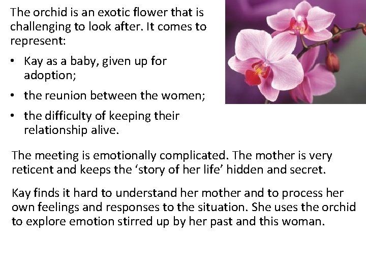 Keeping Orchids Jackie Kay The persona probably Kay