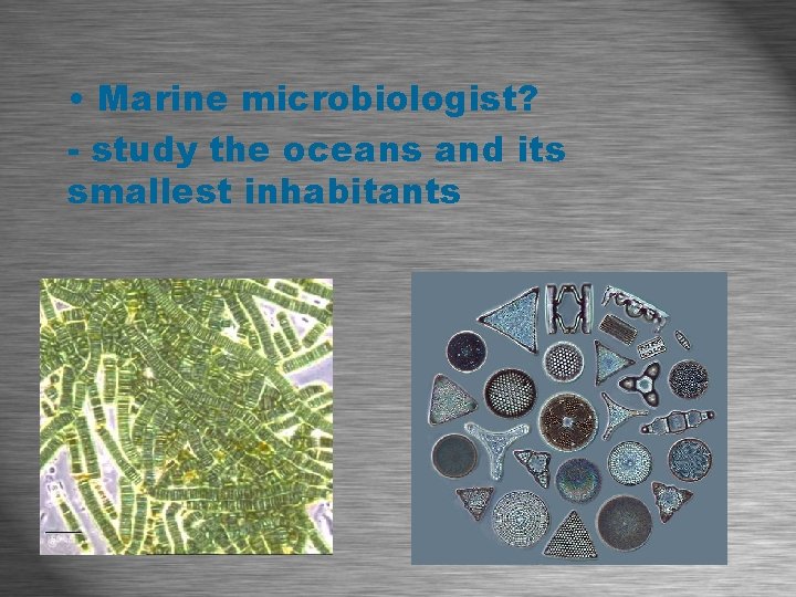 Main Themes in Microbiology Chapter 1 Humans are