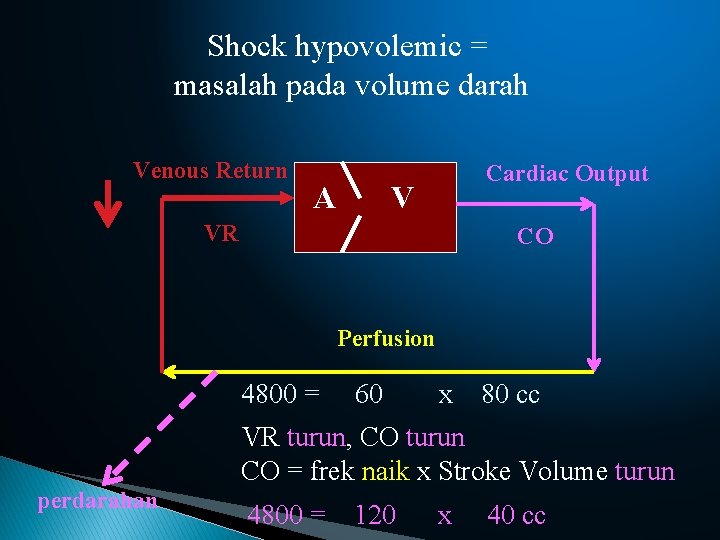 CIRCULATION JANTUNG VOLUME DARAH PEMBULUH DARAH Faal sirkulasi