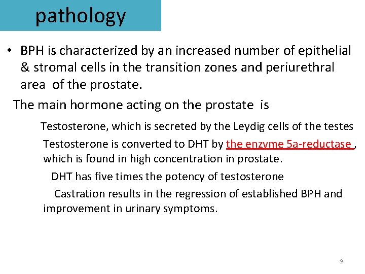 BENIGN PROSTATIC HYPERPLASIA BPH Dr AMMAR FADIL BPH