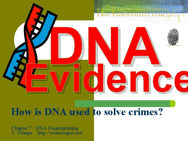 DNA Evidence How is DNA used to solve