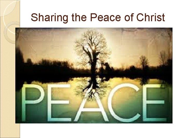 Welcome to MCC 92814 We Bring the Sacrifice