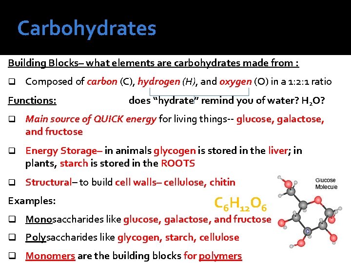 SC 912 L 18 1 Biological Macromolecules Carbohydrates