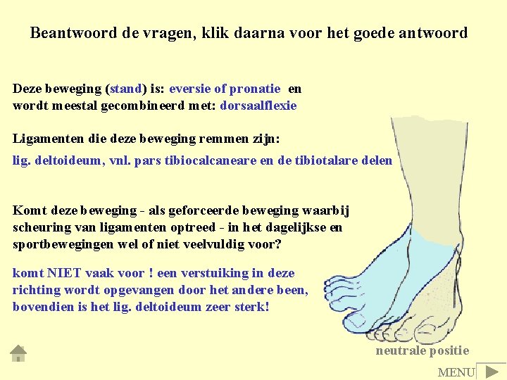 DE VOET Bouw en functie van de gewrichten