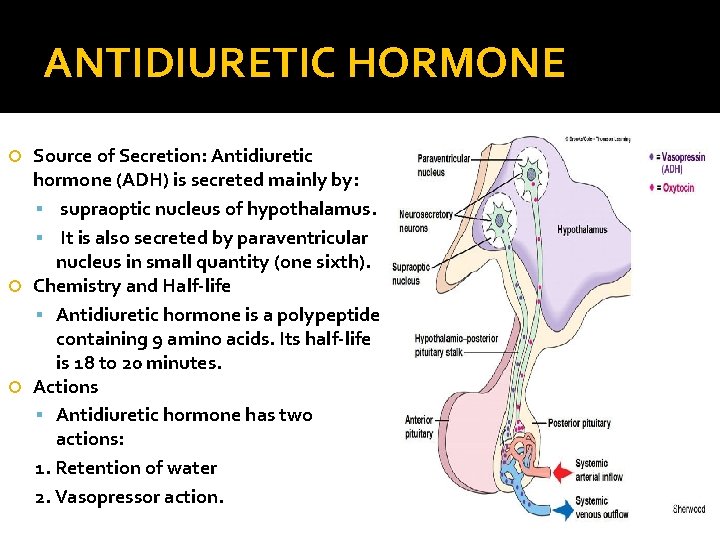 Posterior Pituitary Hormones 1 The posterior pituitary gland