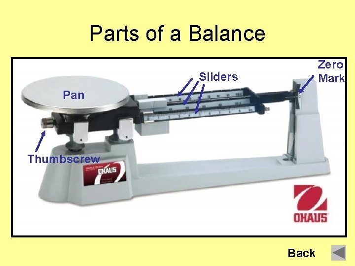How to Use a Triple Beam Balance by