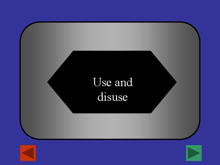 Who Wants to be a Millionaire 15 14