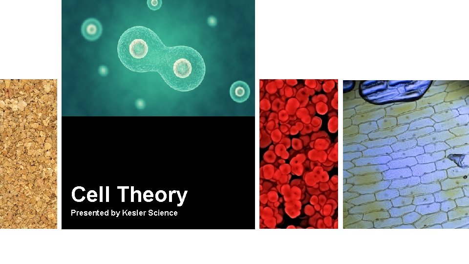 Cell Theory Presented by Kesler Science Essential Questions