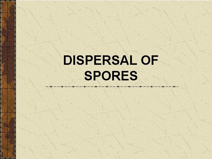 MYCOLOGY MIC 206 SPORULATION AND BUDDING General characteristics