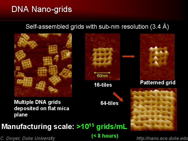 Selfassembled Materials for Computer Architectures Chris Dwyer Associate