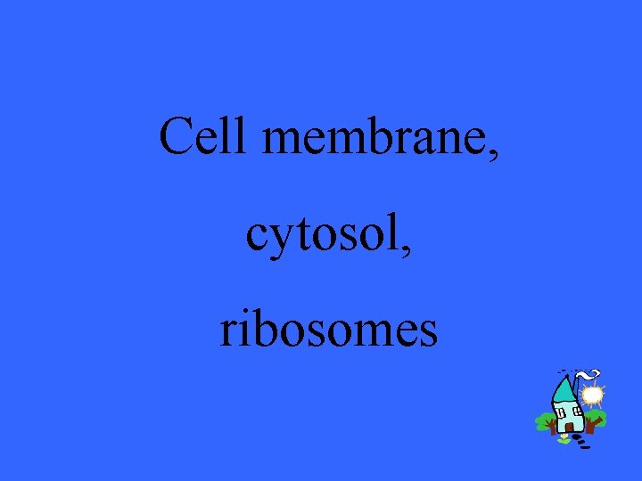 Diffusion Osmosis Transport Across Membranes Cell Cycle 100