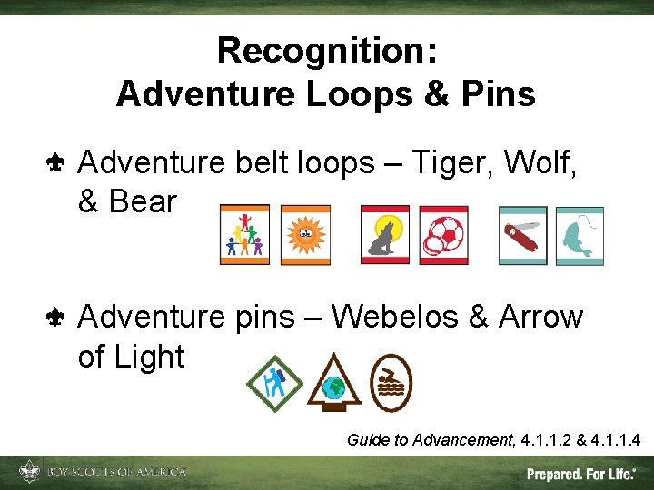 Cub Scout Advancement Delivering Adventure National Advancement Committee