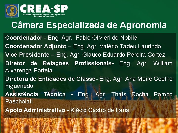 Cmara Especializada de Agronomia Coordenador Eng Agr Fabio