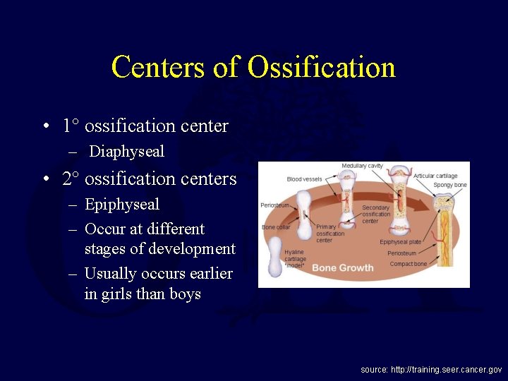 Basic Principles in the Assessment and Treatment of