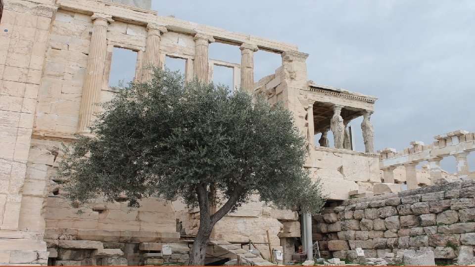 JACOB 5 An Ancient Order Jacob 4 Alma