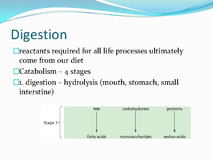 Organic chemistry of metabolic pathways Book Bruice Chapter