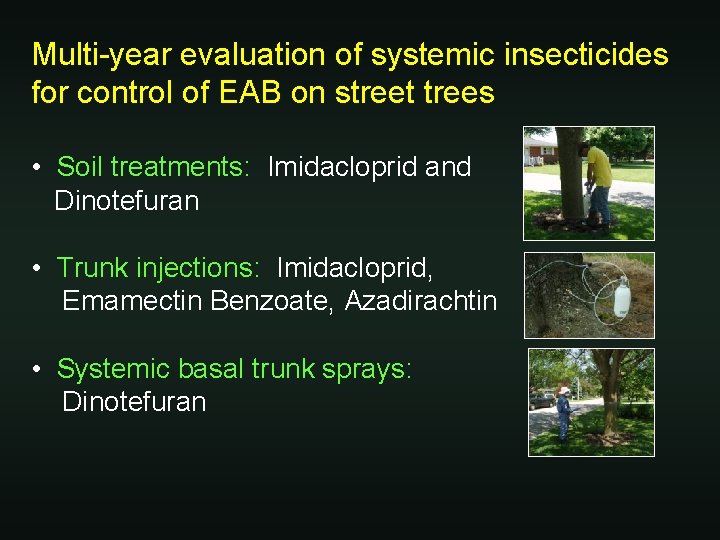 Tree Injections and Insects State of the art