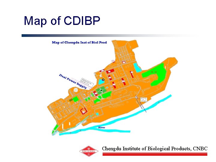 Chengdu Institute of Biological Products CDIBP Chengdu Institute