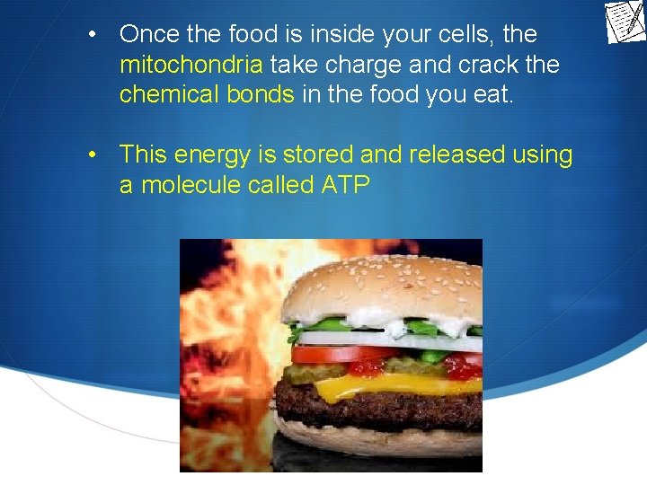 Cellular Aerobic Respiration Date S Lets get Physical