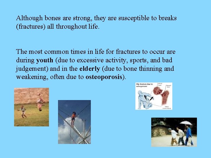 Skeletal System Lecture Day 2 Joints Fractures and