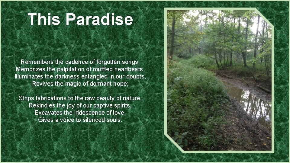 This Paradise Remembers the cadence of forgotten songs