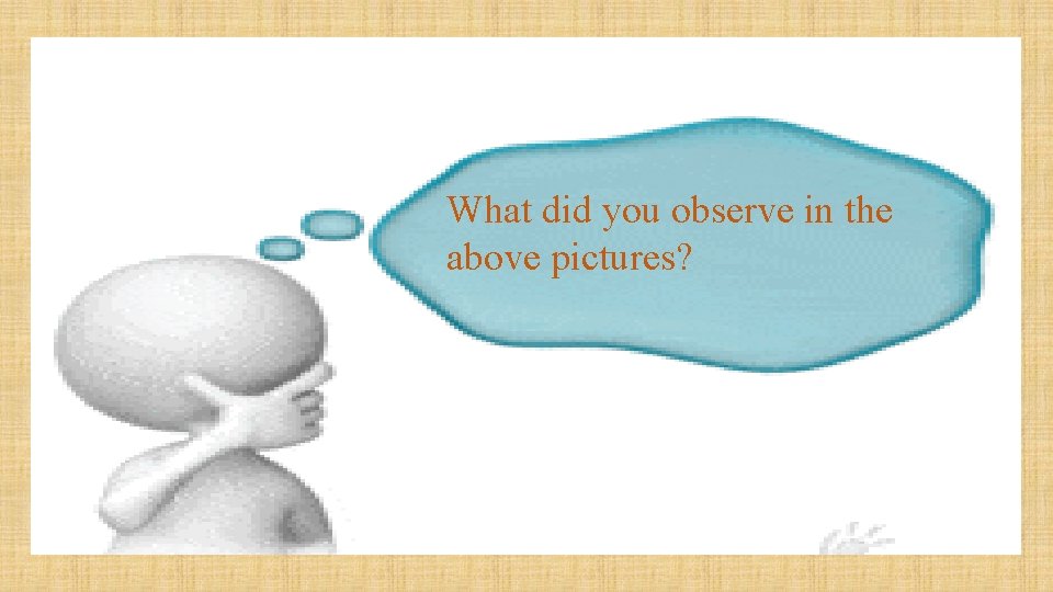 What did you observe in the above pictures