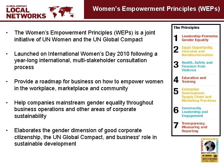 Introduction to the Womens Empowerment Principles WEPs a