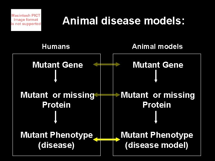 Linking Animal Models to Human Diseases Supported by