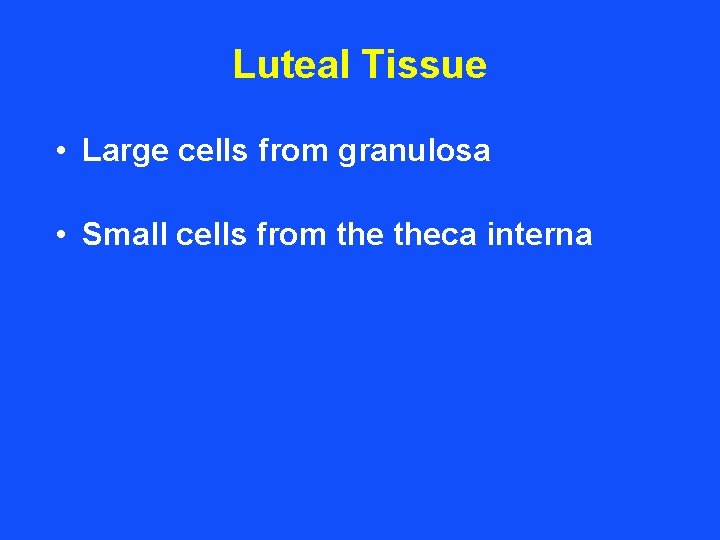 Animal Science 434 Lecture 11 The Luteal Phase