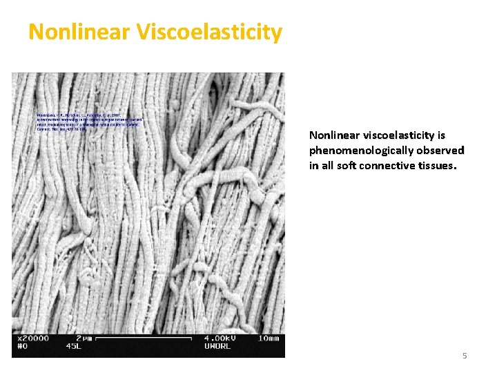 ART brace Training me i t l l