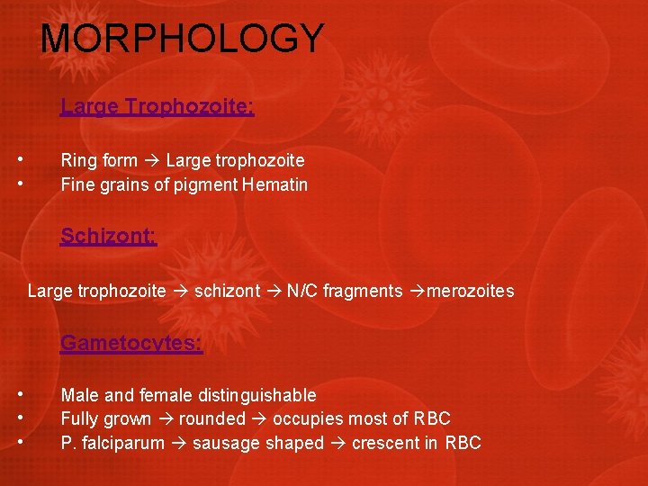 MALARIA PLASMODIUM Dr Amita Arya AP Microbiology Plasmodium