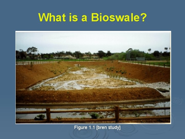 Treatment of Urban Water Runoff Biofiltration using a