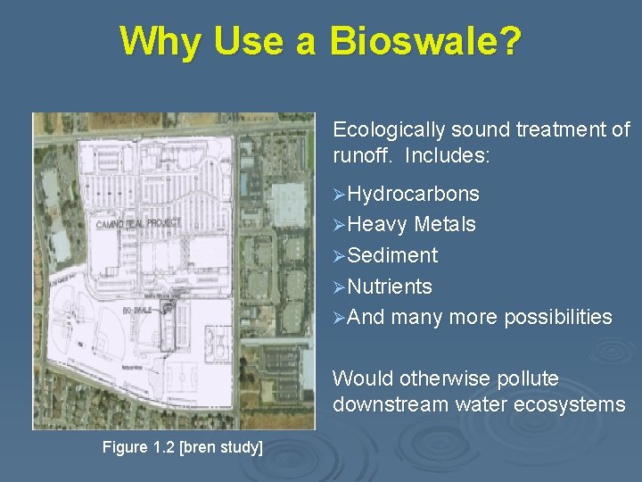 Treatment of Urban Water Runoff Biofiltration using a