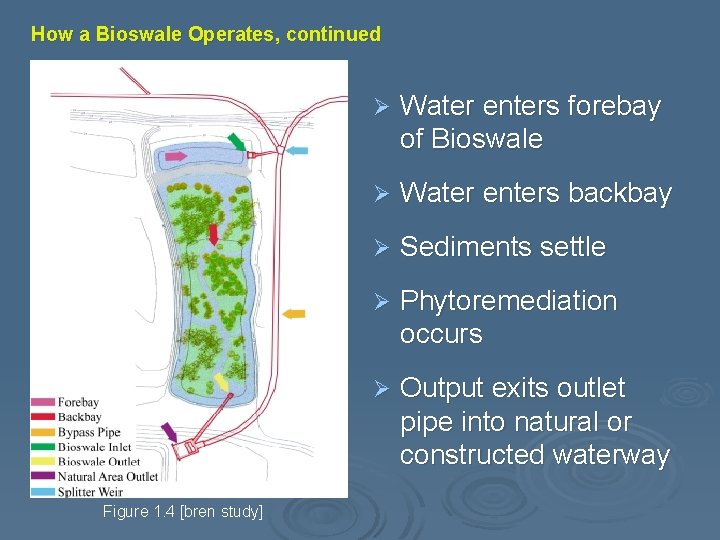 Treatment of Urban Water Runoff Biofiltration using a