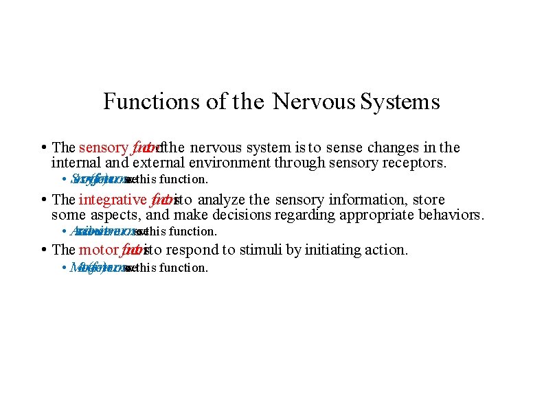 Introduction and Basic Structural Organization of the Nervous