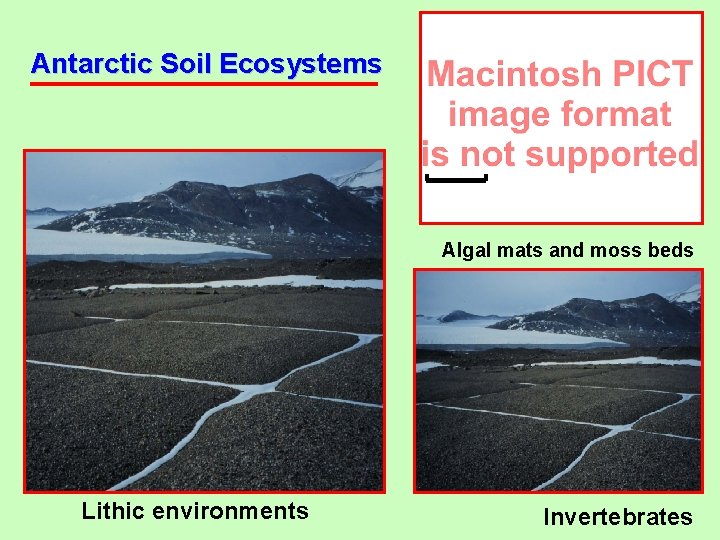 Spatial variability in soil biogeochemistry and biodiversity in