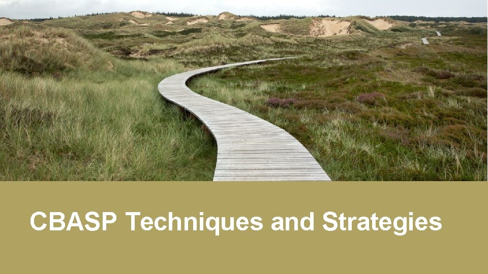 CognitiveBehavioral Analysis System of Psychotherapy CBASP Andrea M