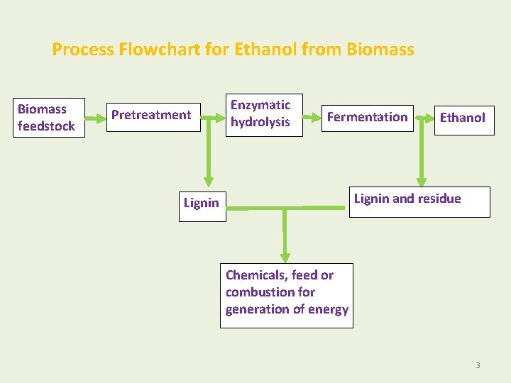 Seeding Rate Effects on Ethanol Production in Corn