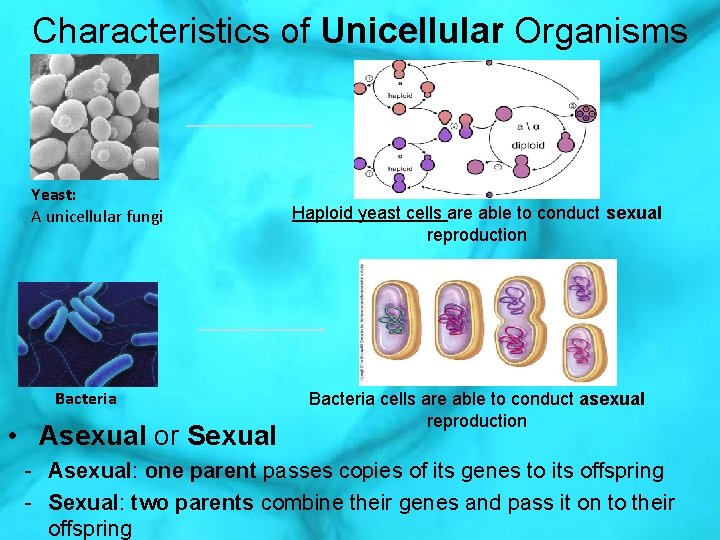 Your Objective The learner will identify the basic