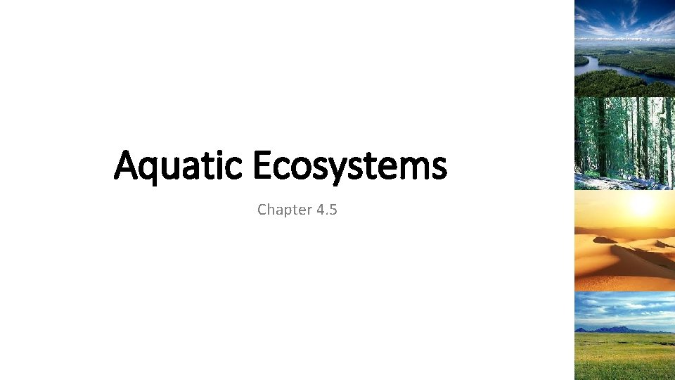 Aquatic Ecosystems Chapter 4 5 Conditions Underwater Aquatic