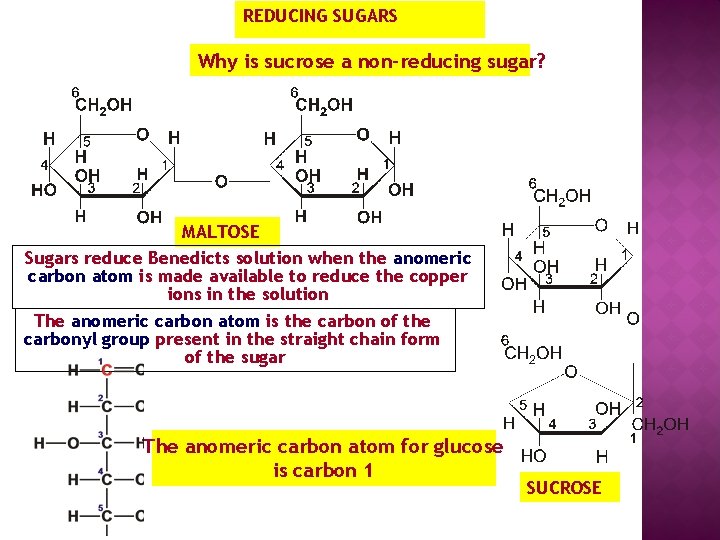 05022022 Learning Outcomes You should be able to